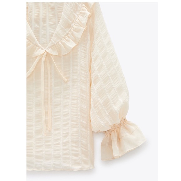 Zara | Tops | Zara Organza Ruffled Blouse | Poshmark